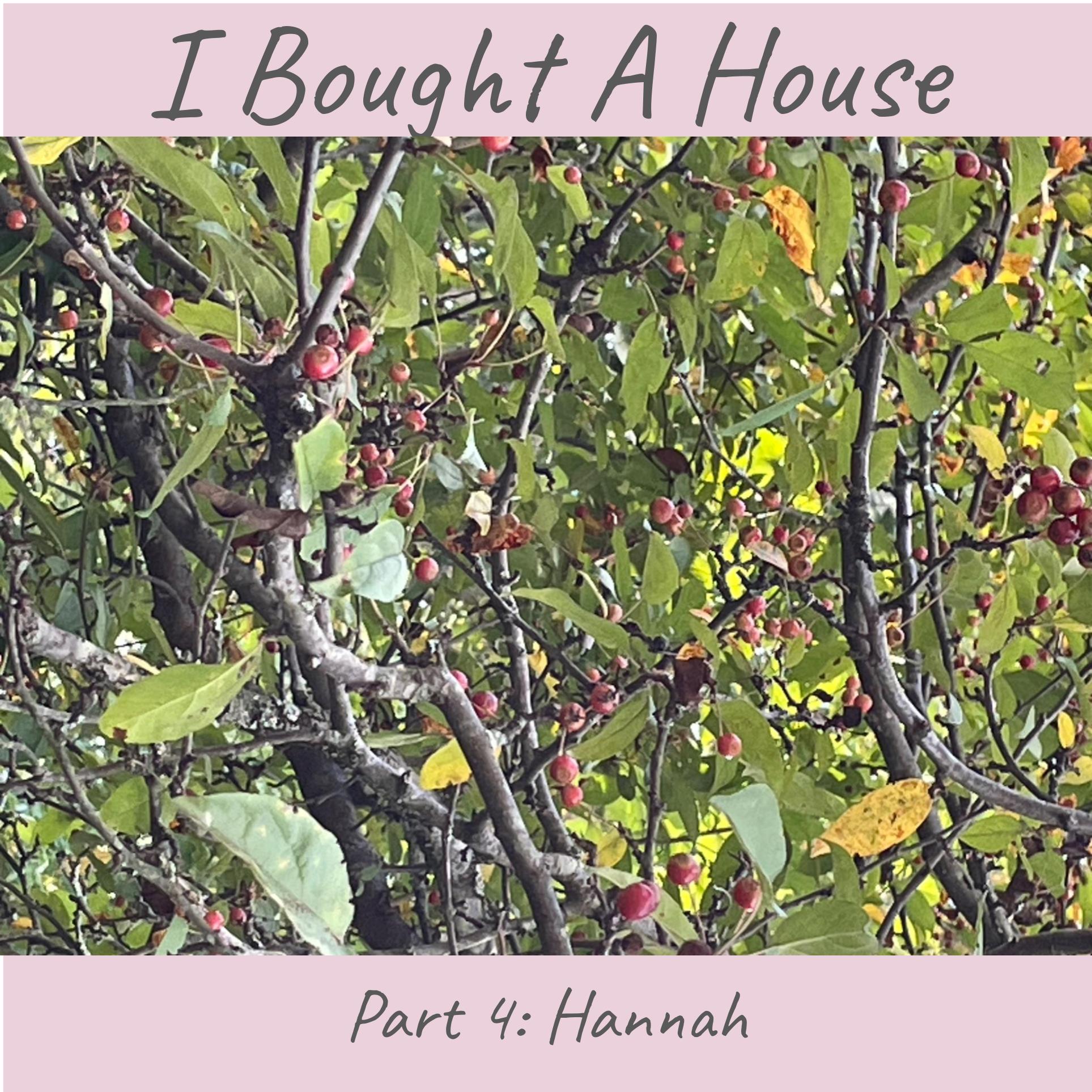 I Bought A House: Hannah - Kimdrussell.com